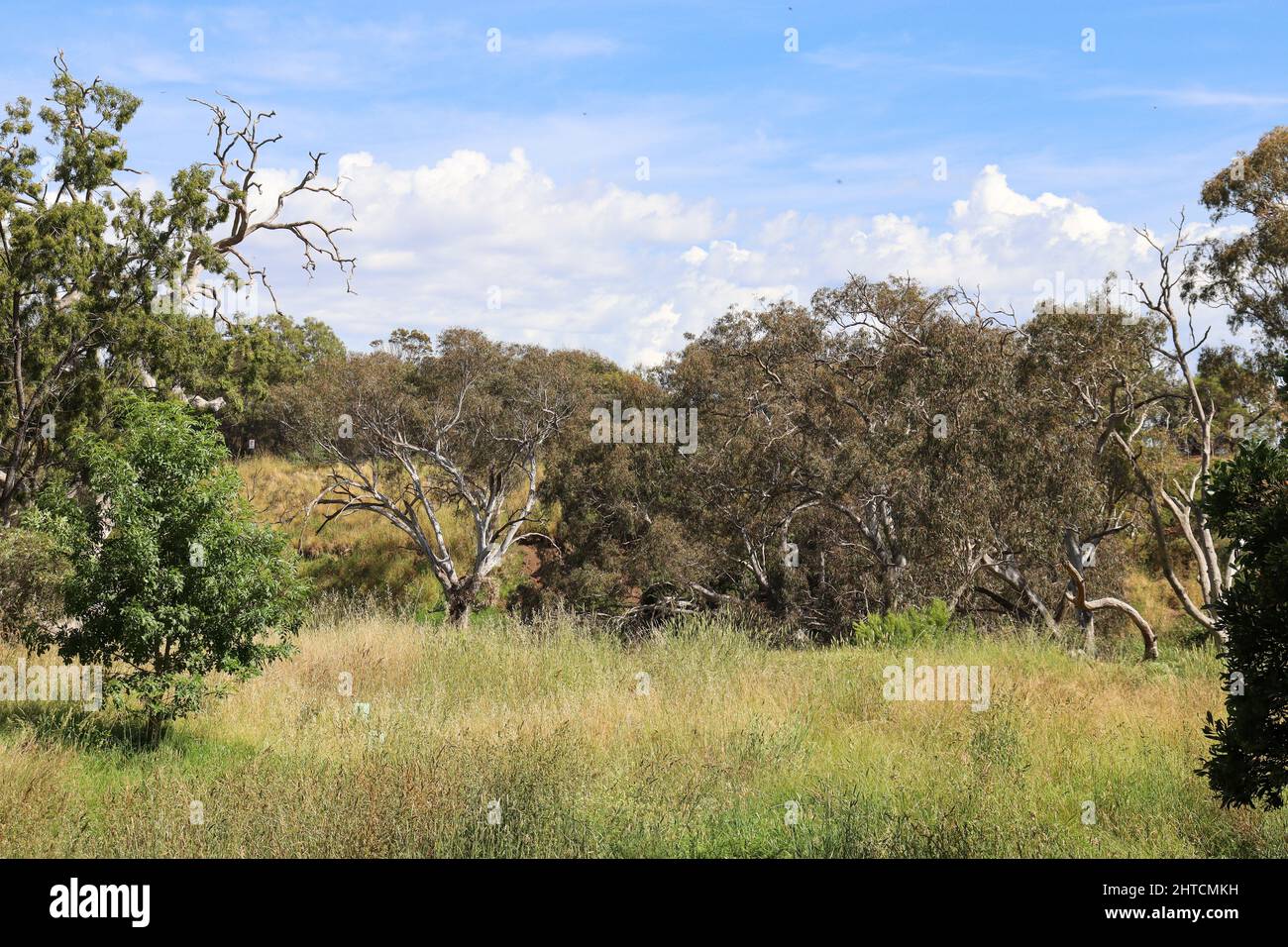 Australian bushland hi-res stock photography and images - Alamy
