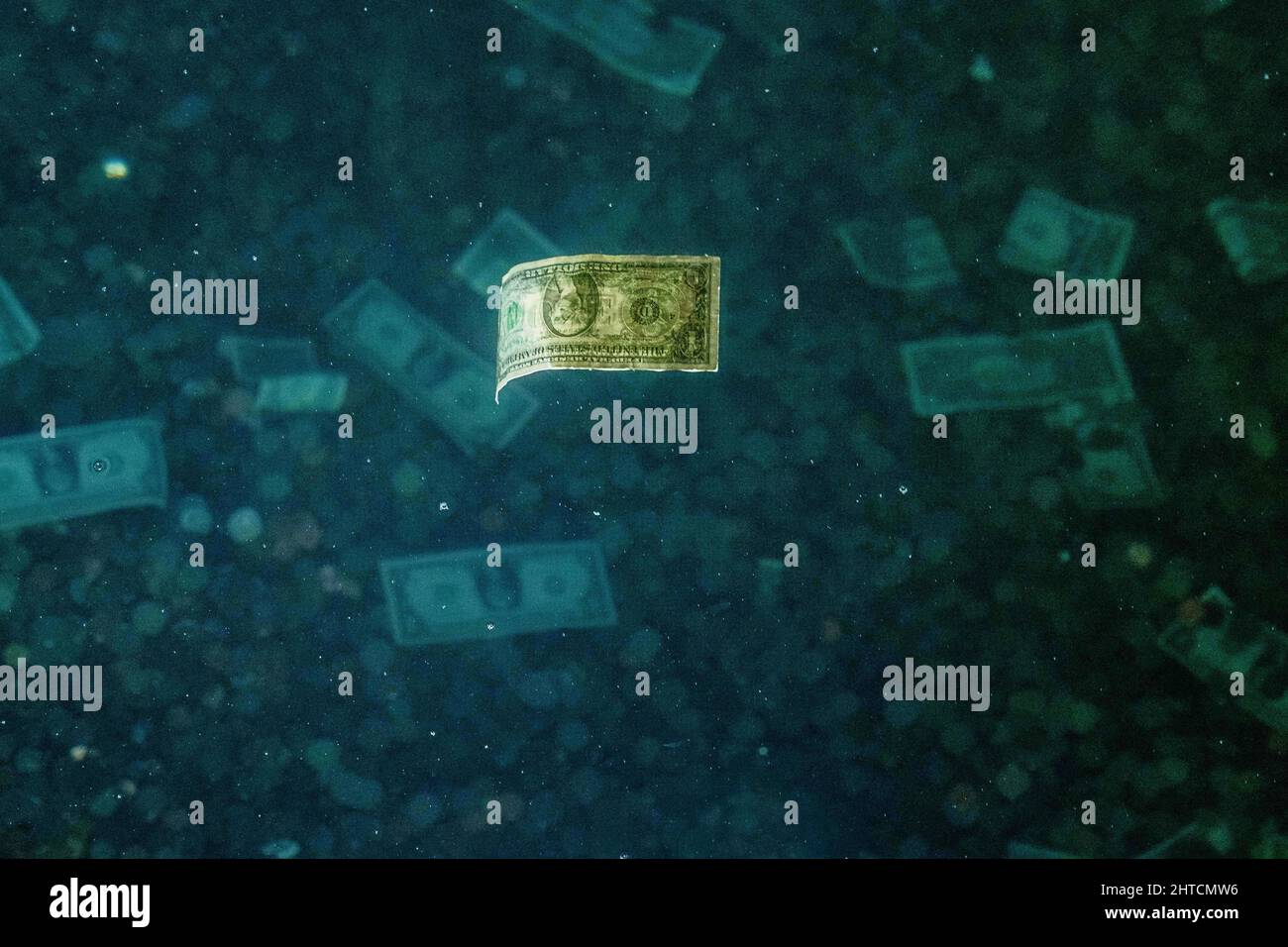 One dollar bill in floating in water alongside with other coins and ...