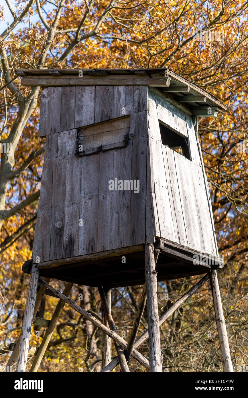Observation tower in a forest Stock Photo - Alamy