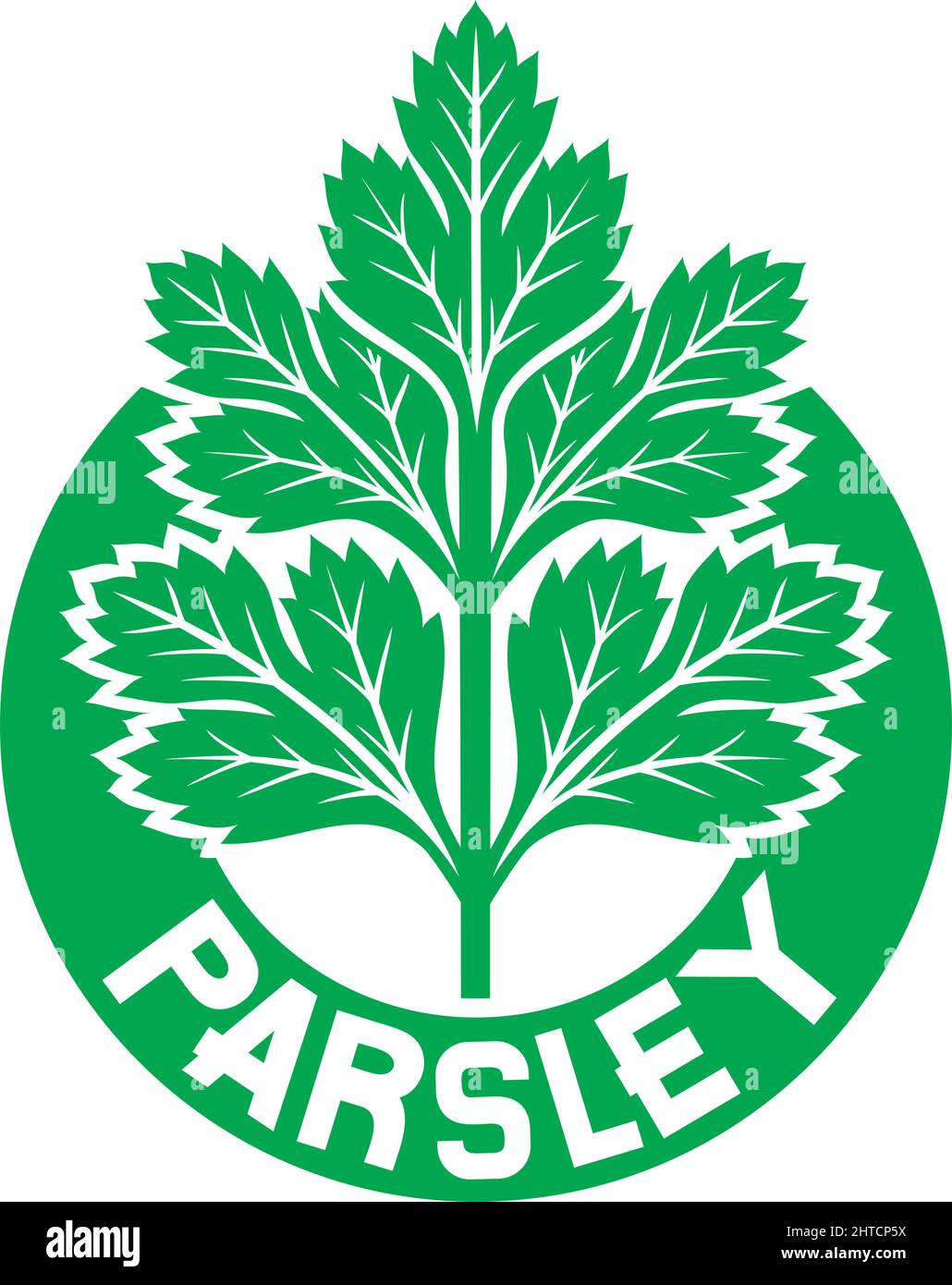 Green leaves of parsley label vector illustration Stock Vector Image ...
