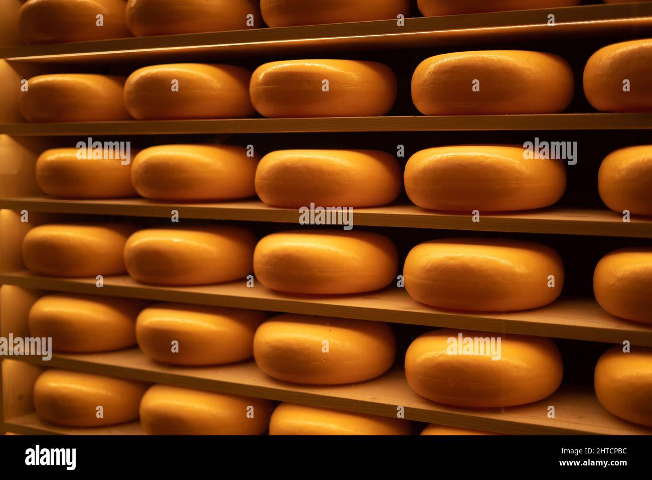 Cheese dairy design hi-res stock photography and images - Alamy