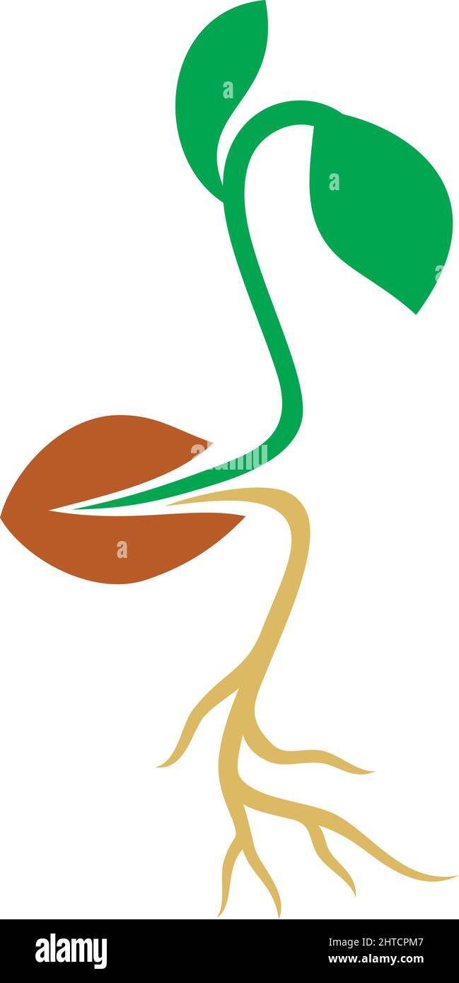 Seed vector icon (plant growing design Stock Vector Image & Art - Alamy