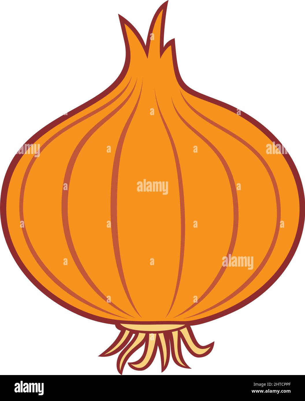 Onion vector illustration Stock Vector Image & Art - Alamy