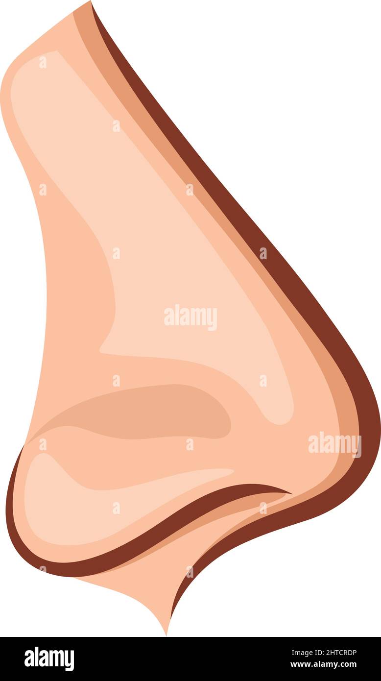 Nose vector illustration Stock Vector Image & Art - Alamy