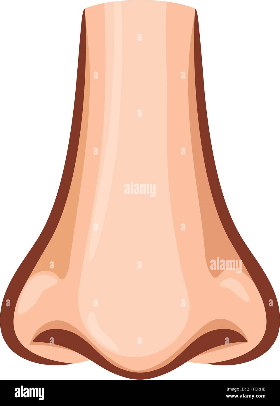 Nose vector illustration Stock Vector Image & Art - Alamy