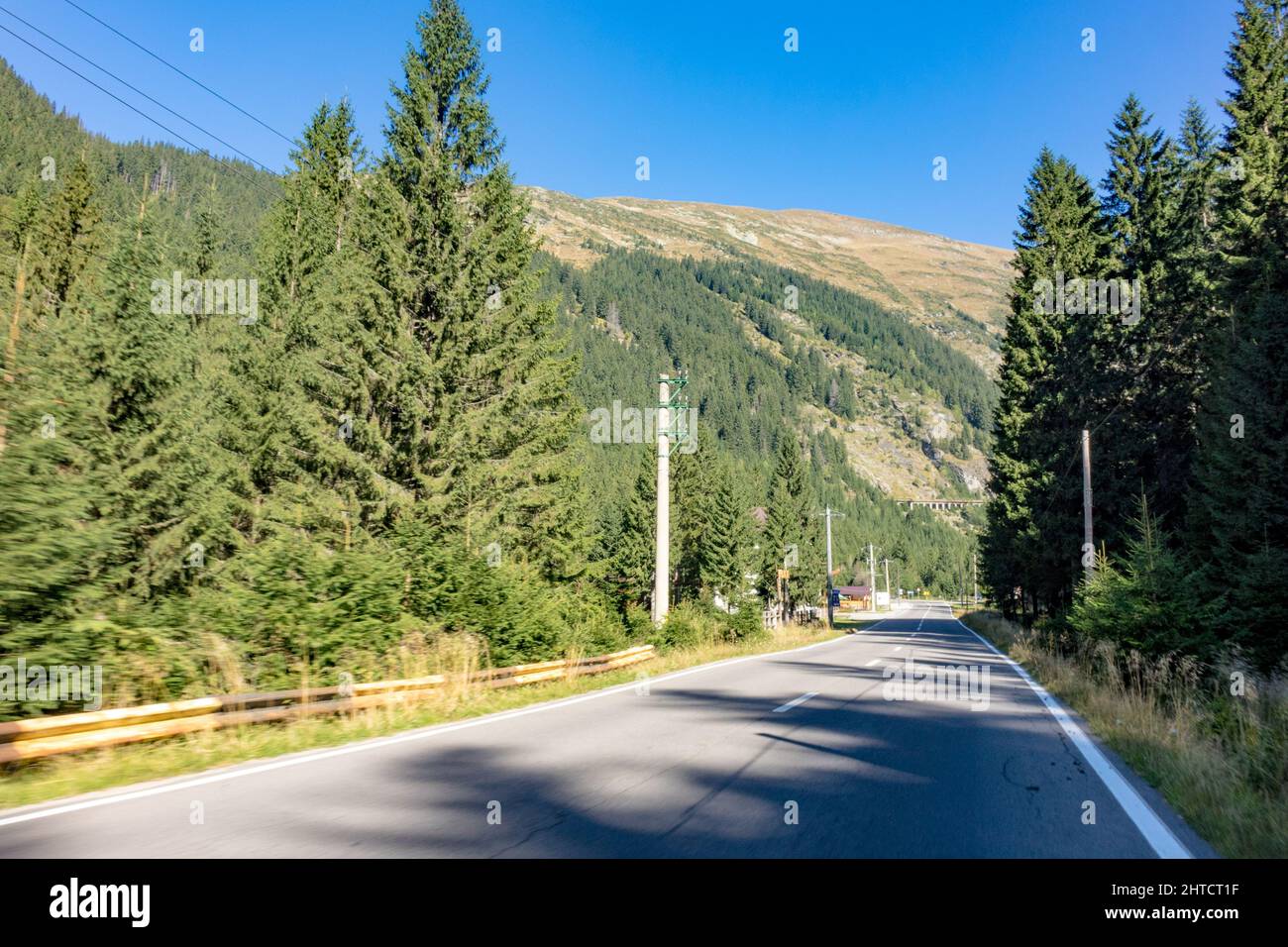 Road through a forest in the mountains Stock Photo - Alamy