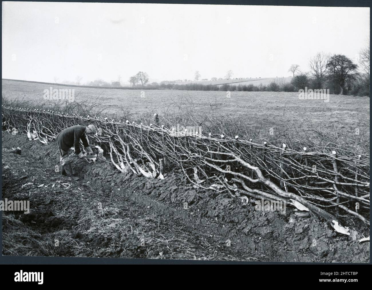 England farming 1930s hi-res stock photography and images - Alamy