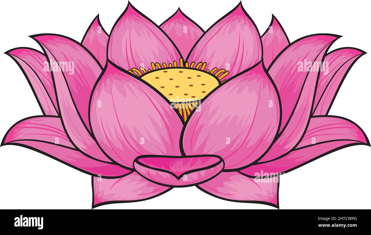 Lotus flower vector illustration Stock Vector Image & Art - Alamy