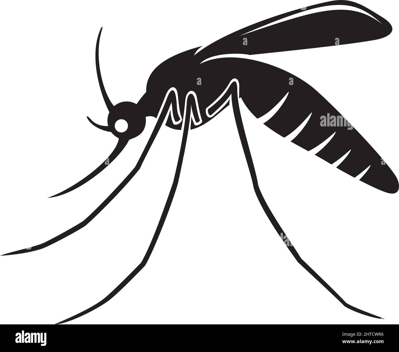 Mosquitoes vector illustration Stock Vector Image & Art - Alamy