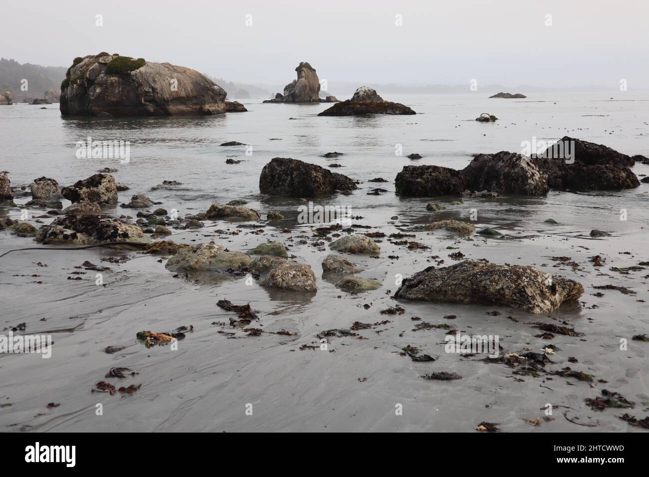 Scenic view of rocks in the water at the beach in the bay at Trinidad ...