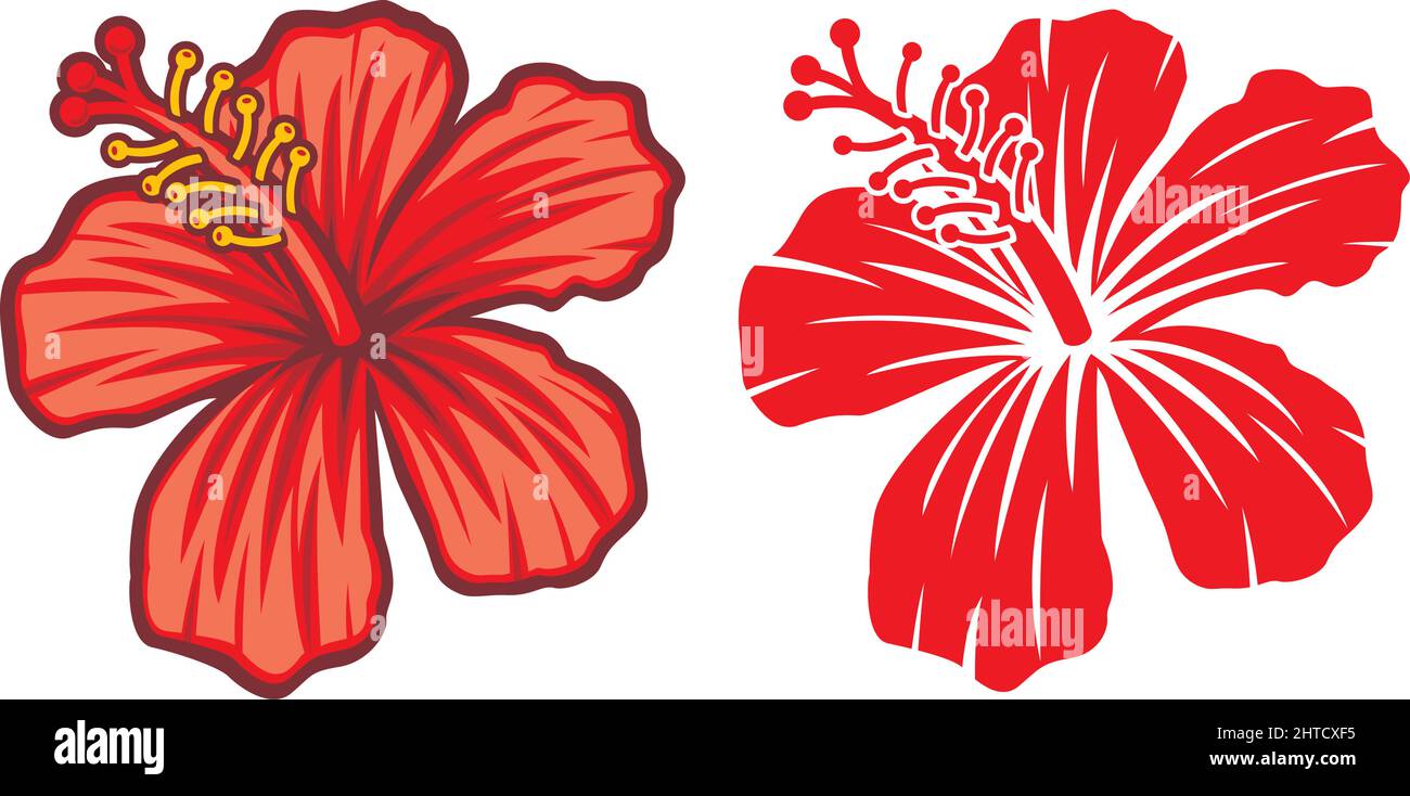 Hibiscus flower vector illustration Stock Vector Image & Art - Alamy