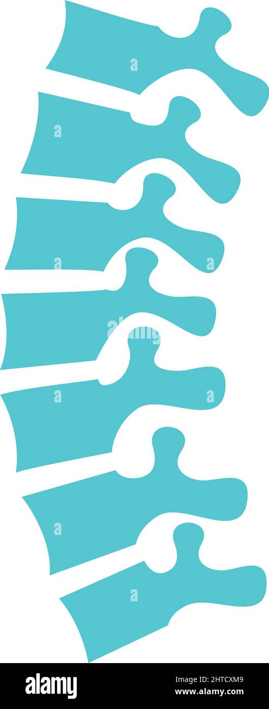 Human spine vector illustration Stock Vector Image & Art - Alamy