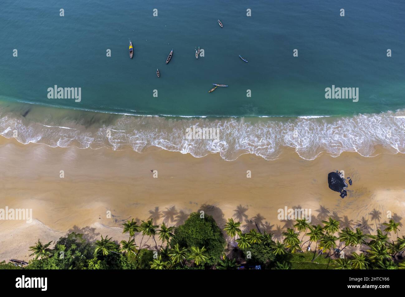 Colorful bureh beach with palm tree and boats Stock Photo - Alamy