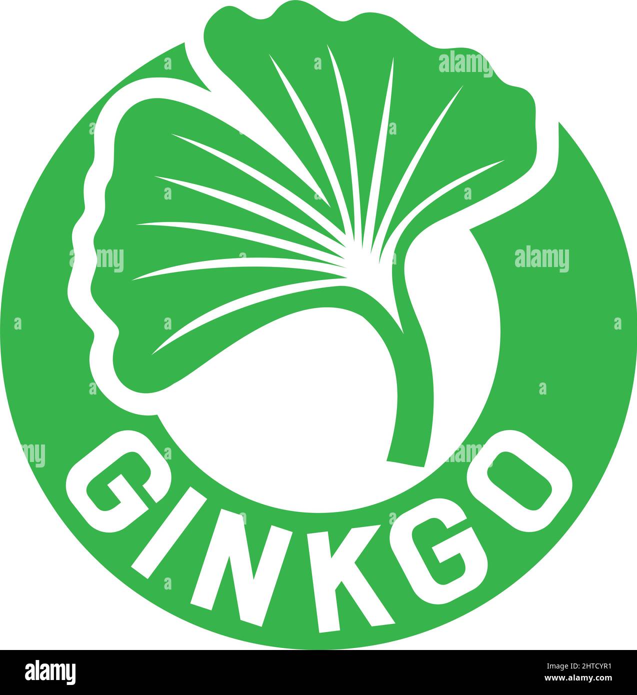 Ginkgo biloba symbol (label) vector illustration Stock Vector Image ...