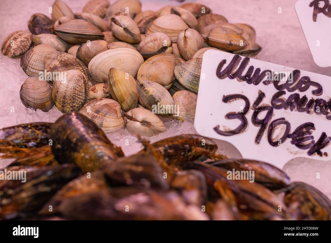 Ruditapes decussatus hi-res stock photography and images - Alamy