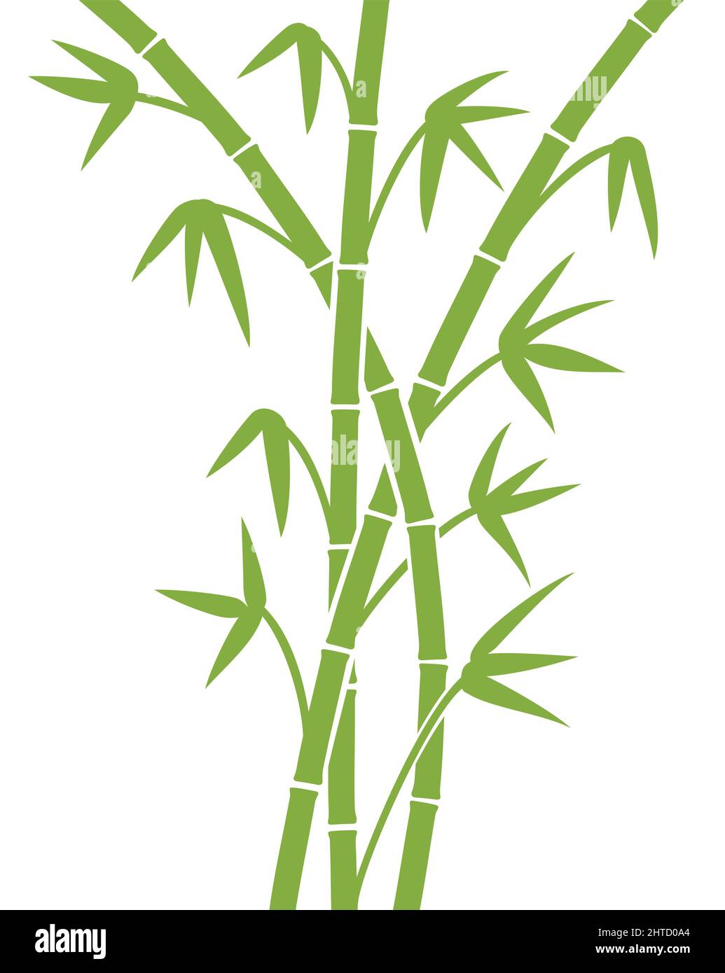 Green bamboo stems vector illustration Stock Vector Image & Art - Alamy