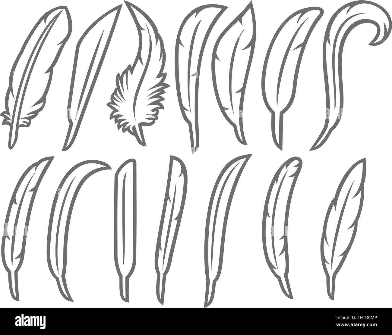 Collection of feathers vector illustration Stock Vector Image & Art - Alamy