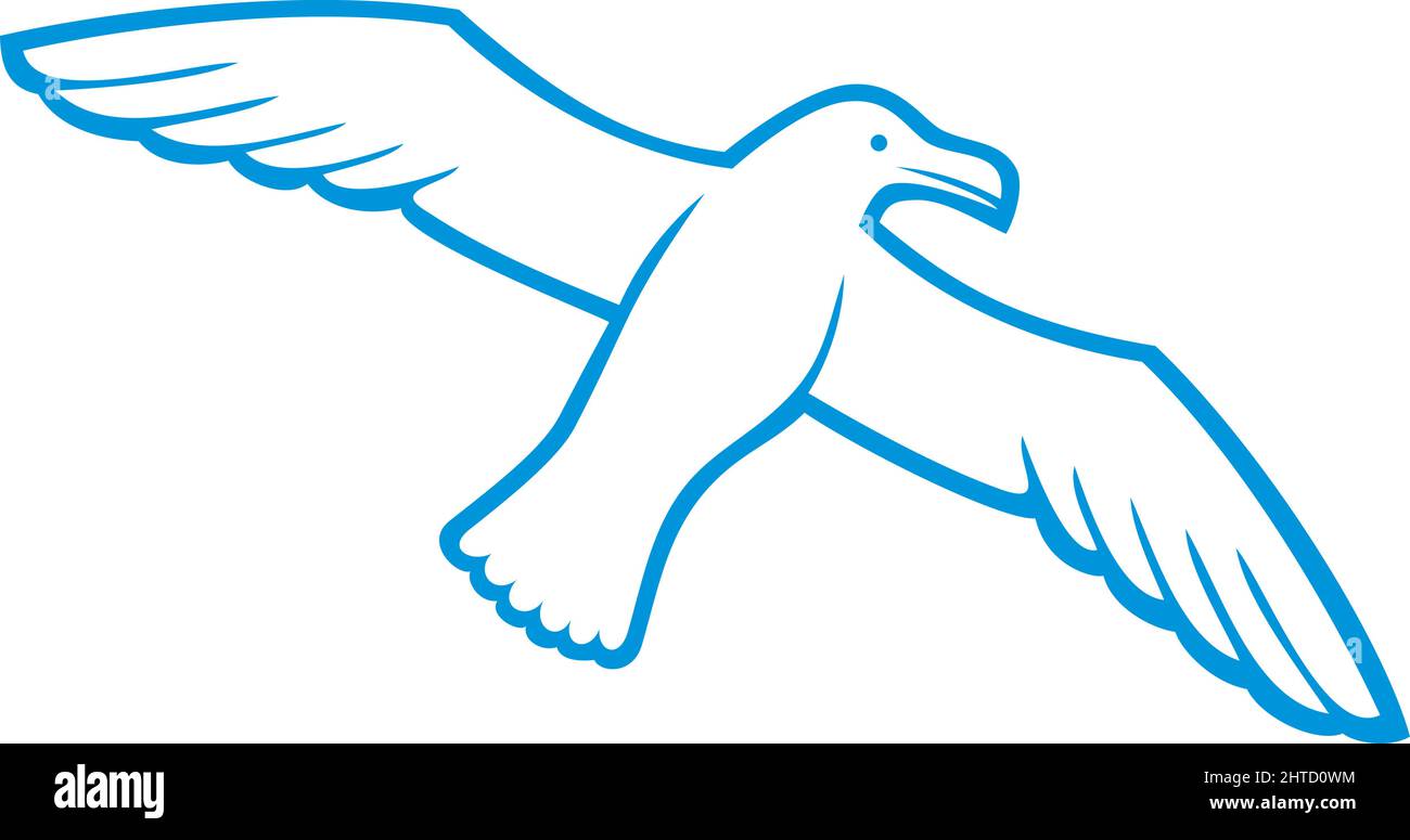 Flying seagull vector illustration Stock Vector Image & Art - Alamy