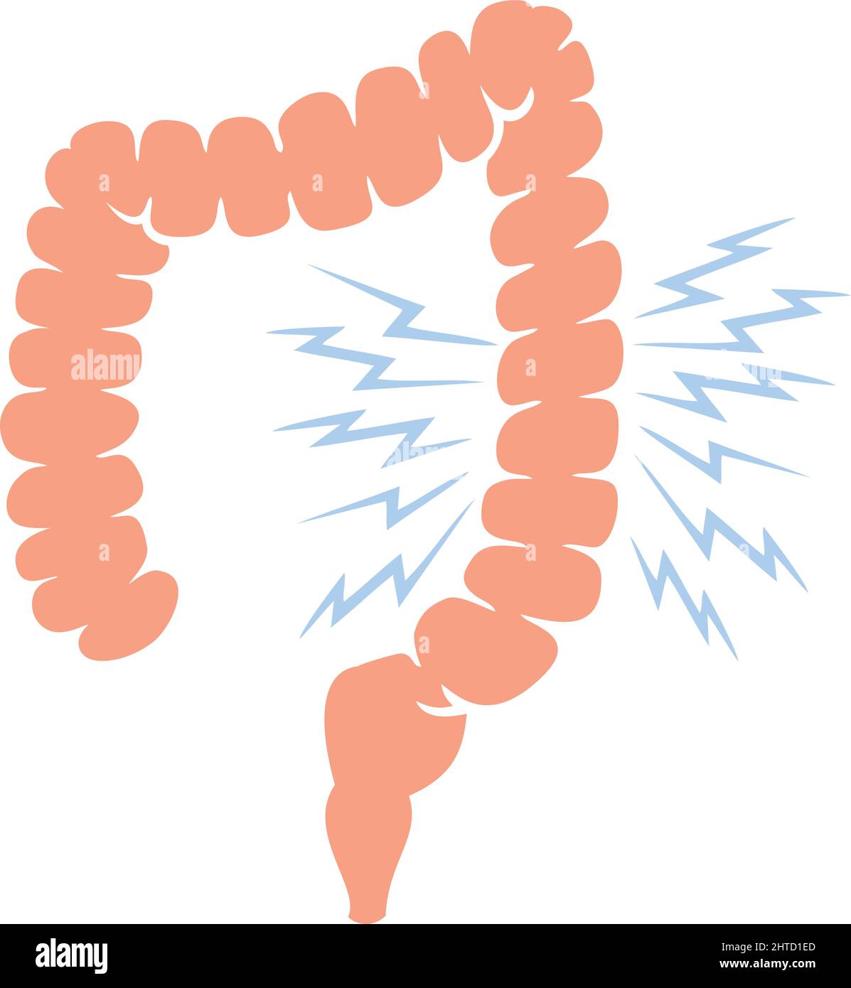 Sick unhealthy intestine organ Stock Vector Images - Alamy