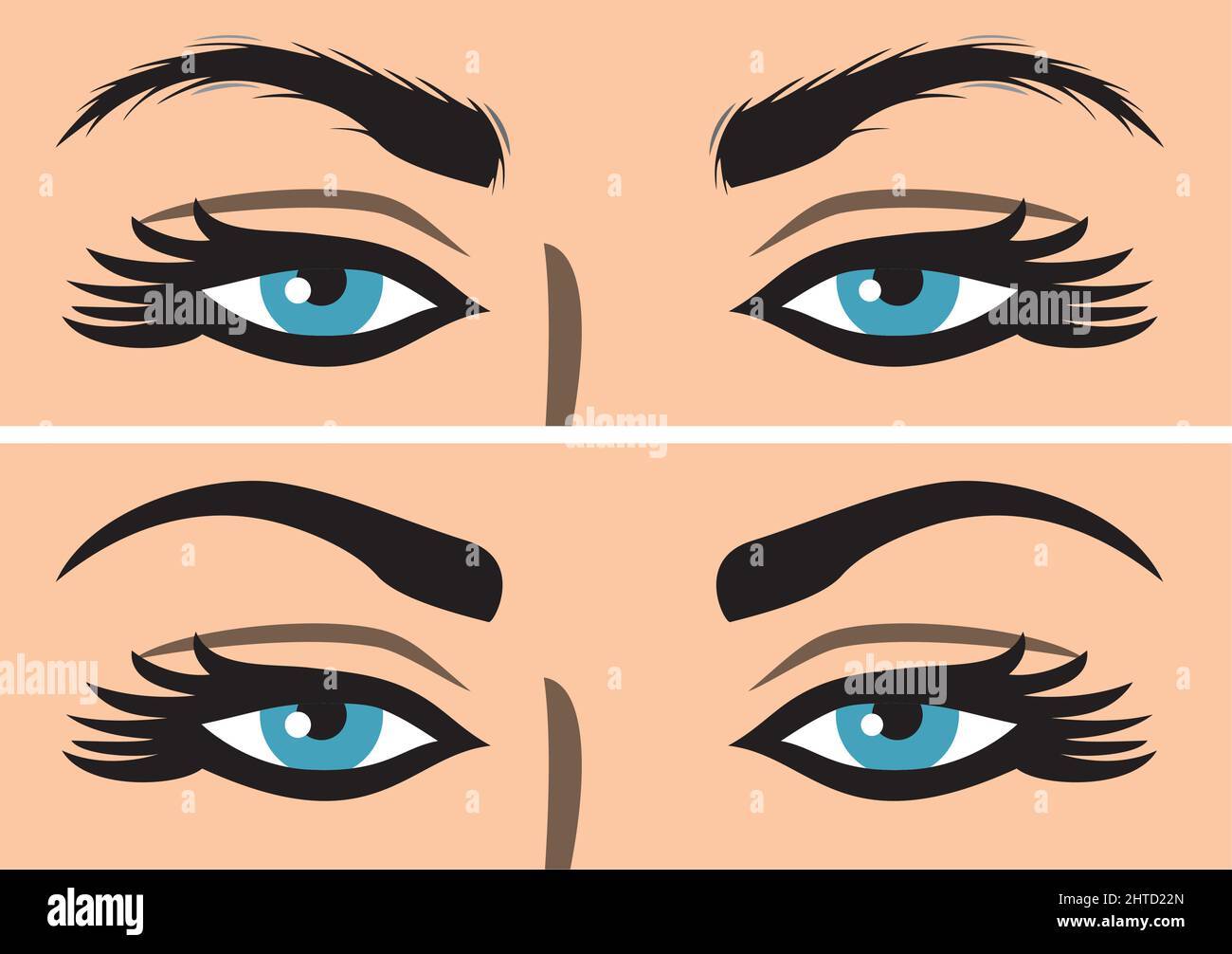 Eyebrow Before And After Correction Vector Illustration Stock Vector
