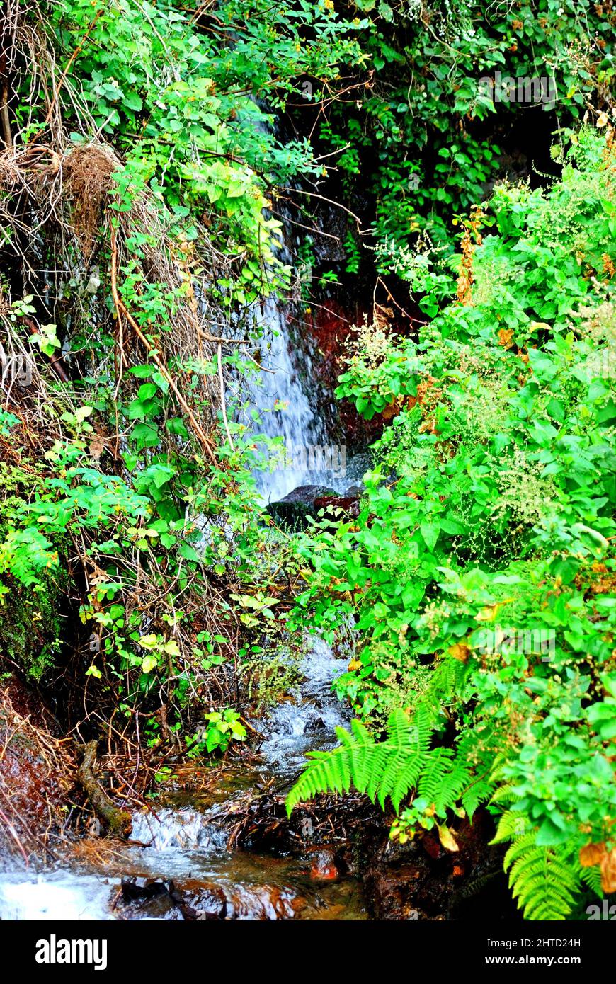 Spring of Marcos y Cordero, is one of the most important springs in the ...