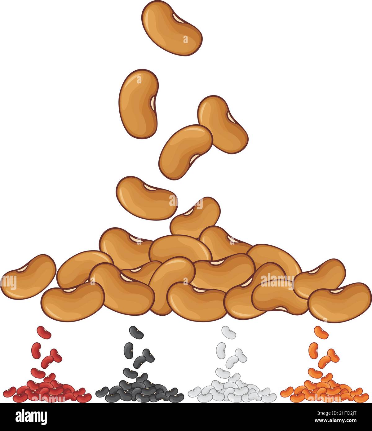 Different types of beans vector illustration Stock Vector Image & Art ...