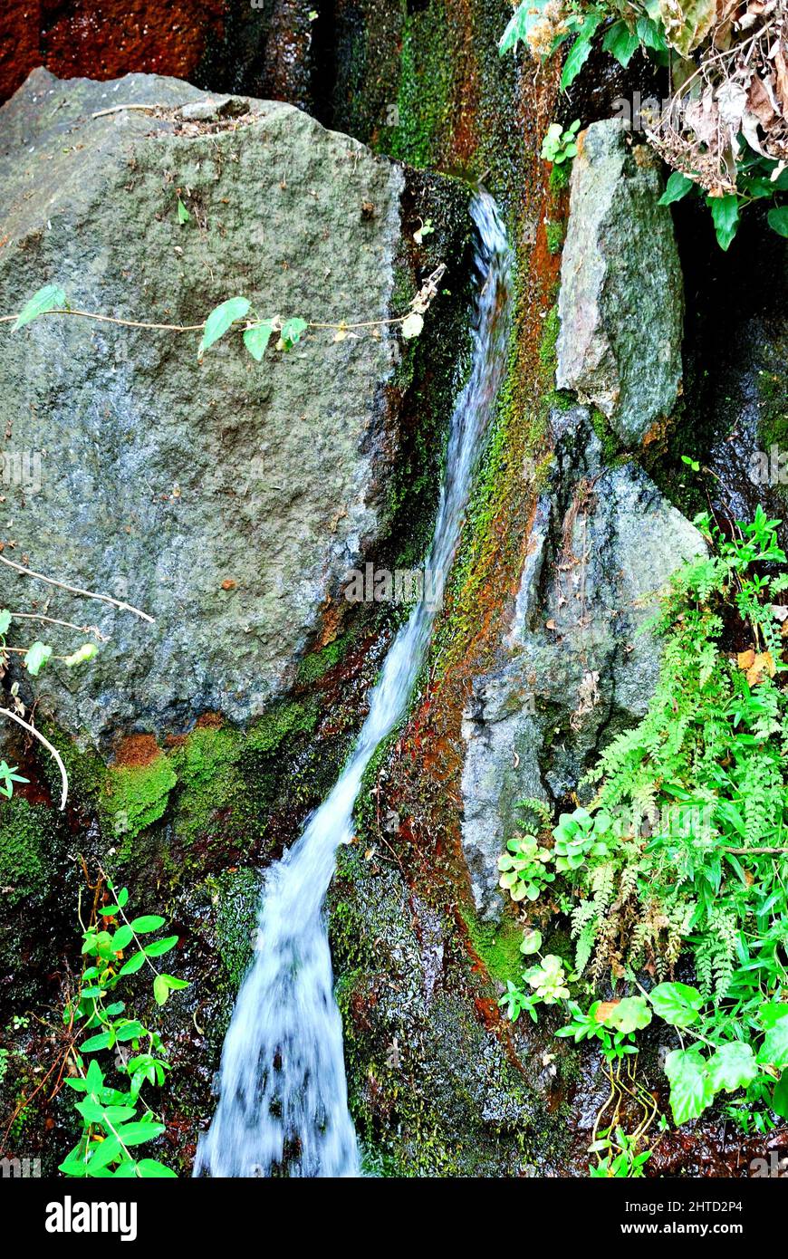 Spring of Marcos y Cordero, is one of the most important springs in the ...