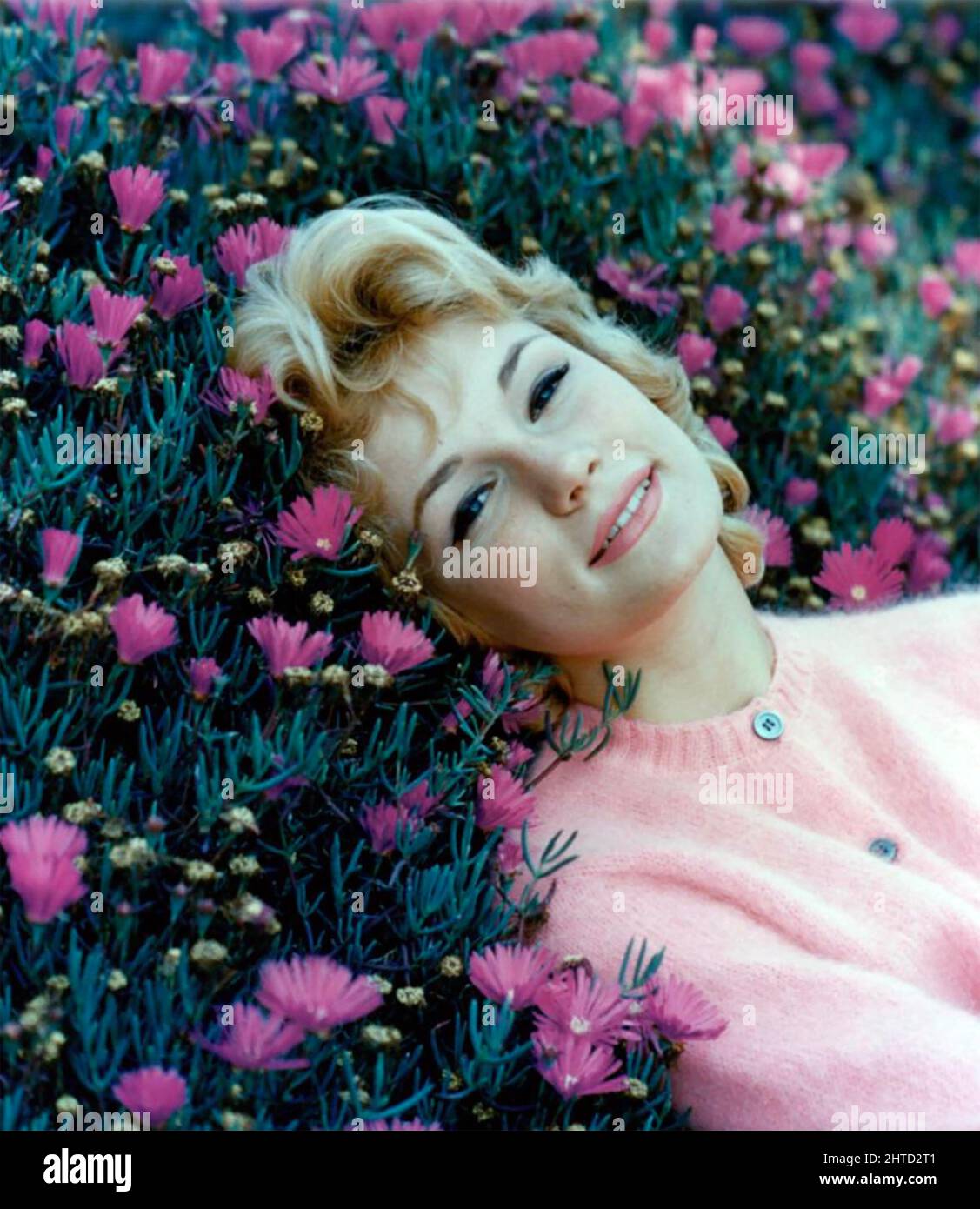 YVETTE MIMIEUX (1942-2022) American film actress about 1960 Stock Photo ...