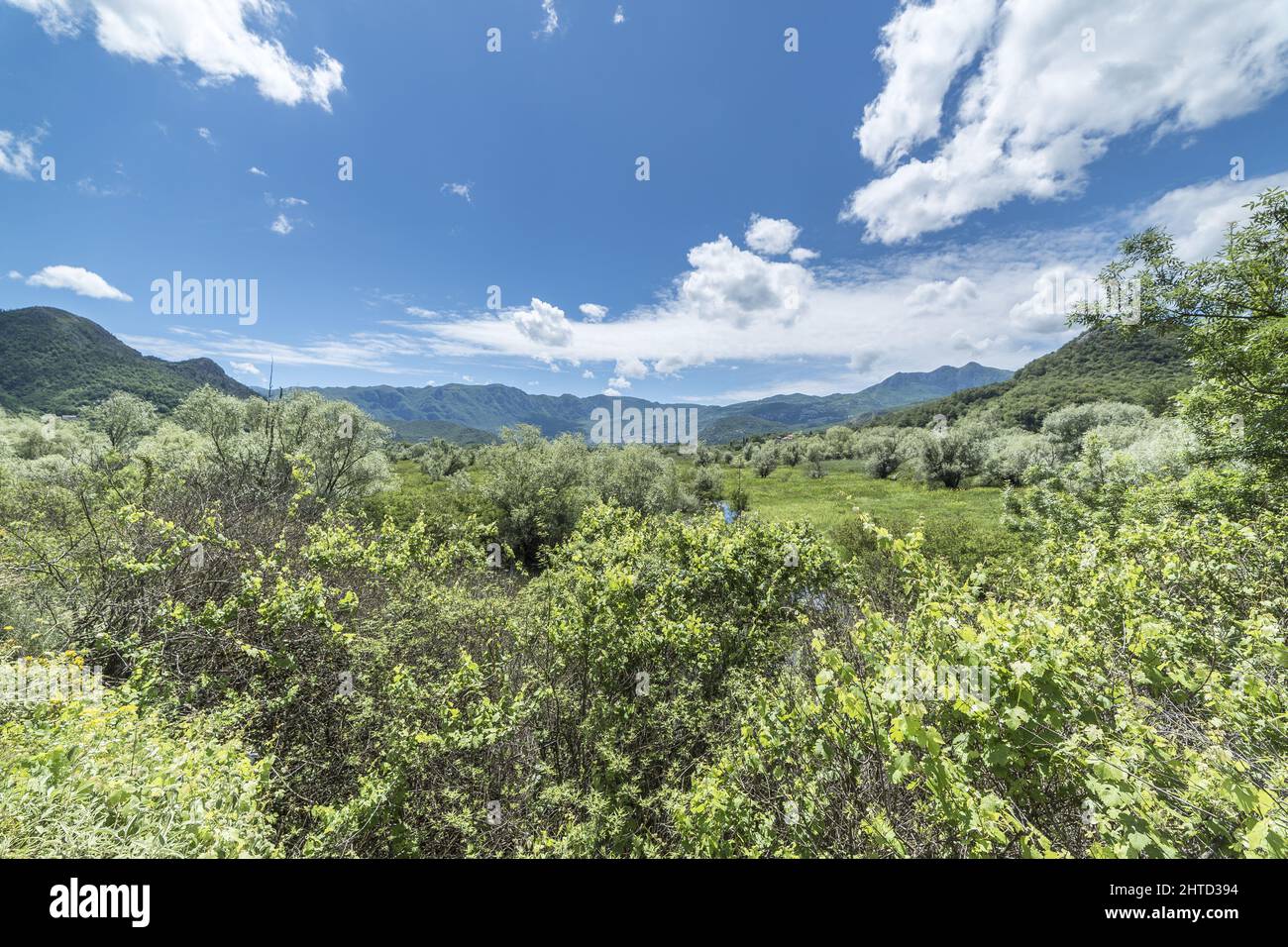 Beautiful landscape with forested mountains and green fields in ...