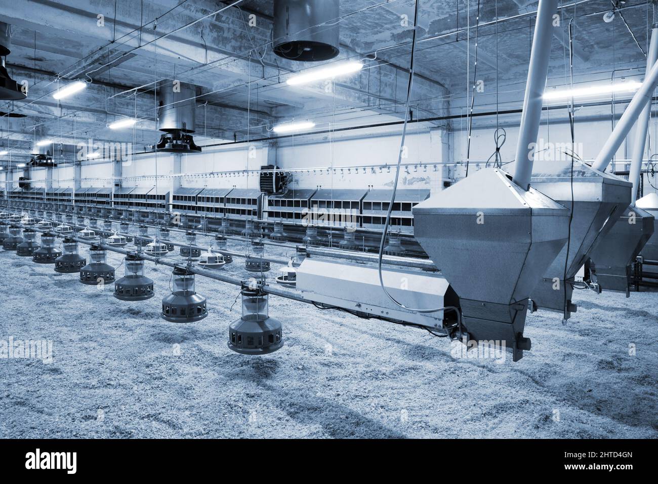 The modern and new automated integrated poultry farm Stock Photo - Alamy