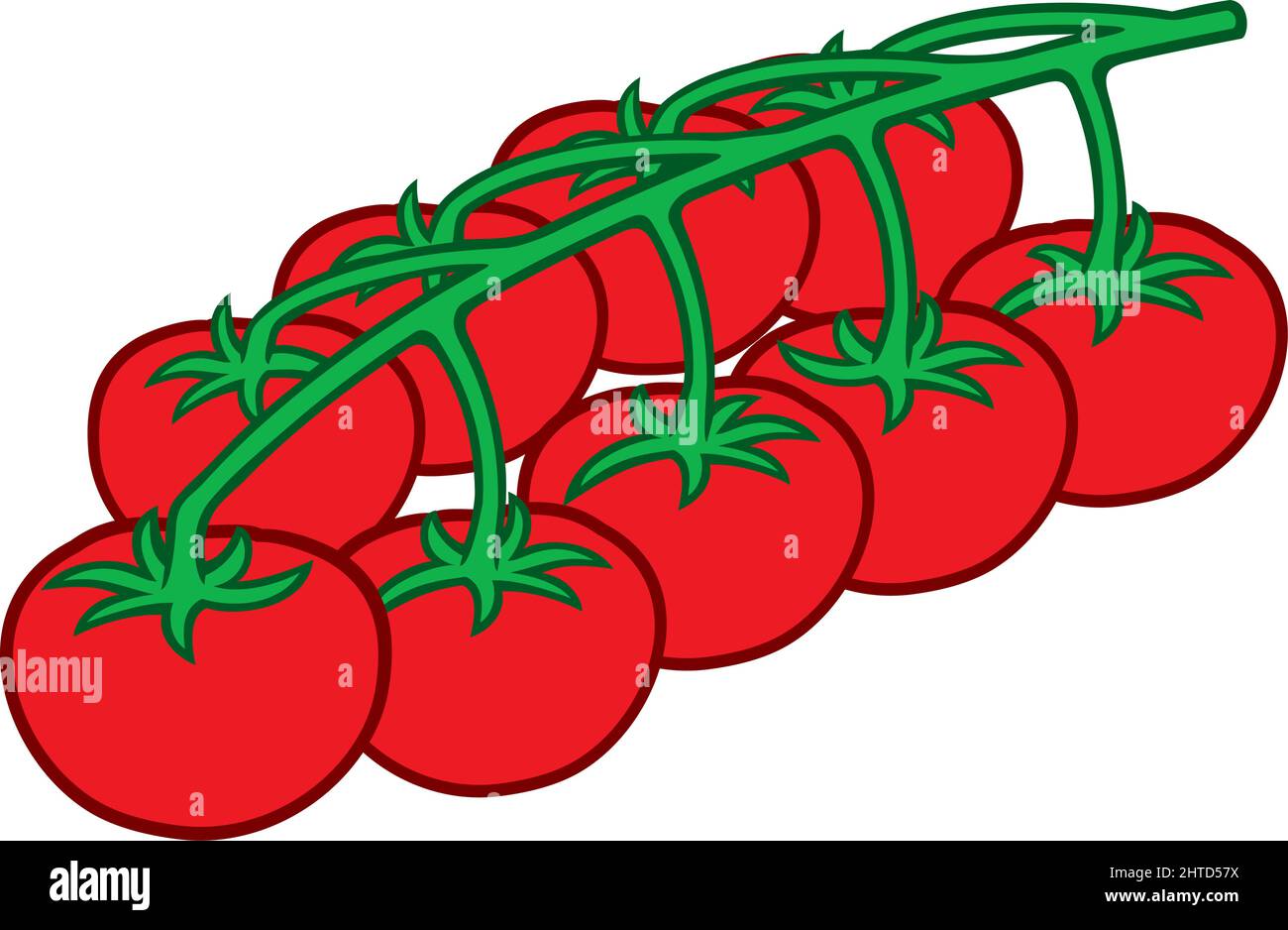 Cherry tomatoes on branch vector illustration Stock Vector Image & Art ...