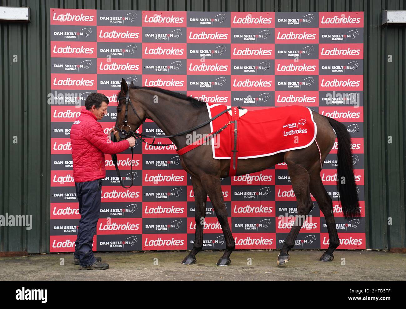 Langer dan horse hi-res stock photography and images - Alamy