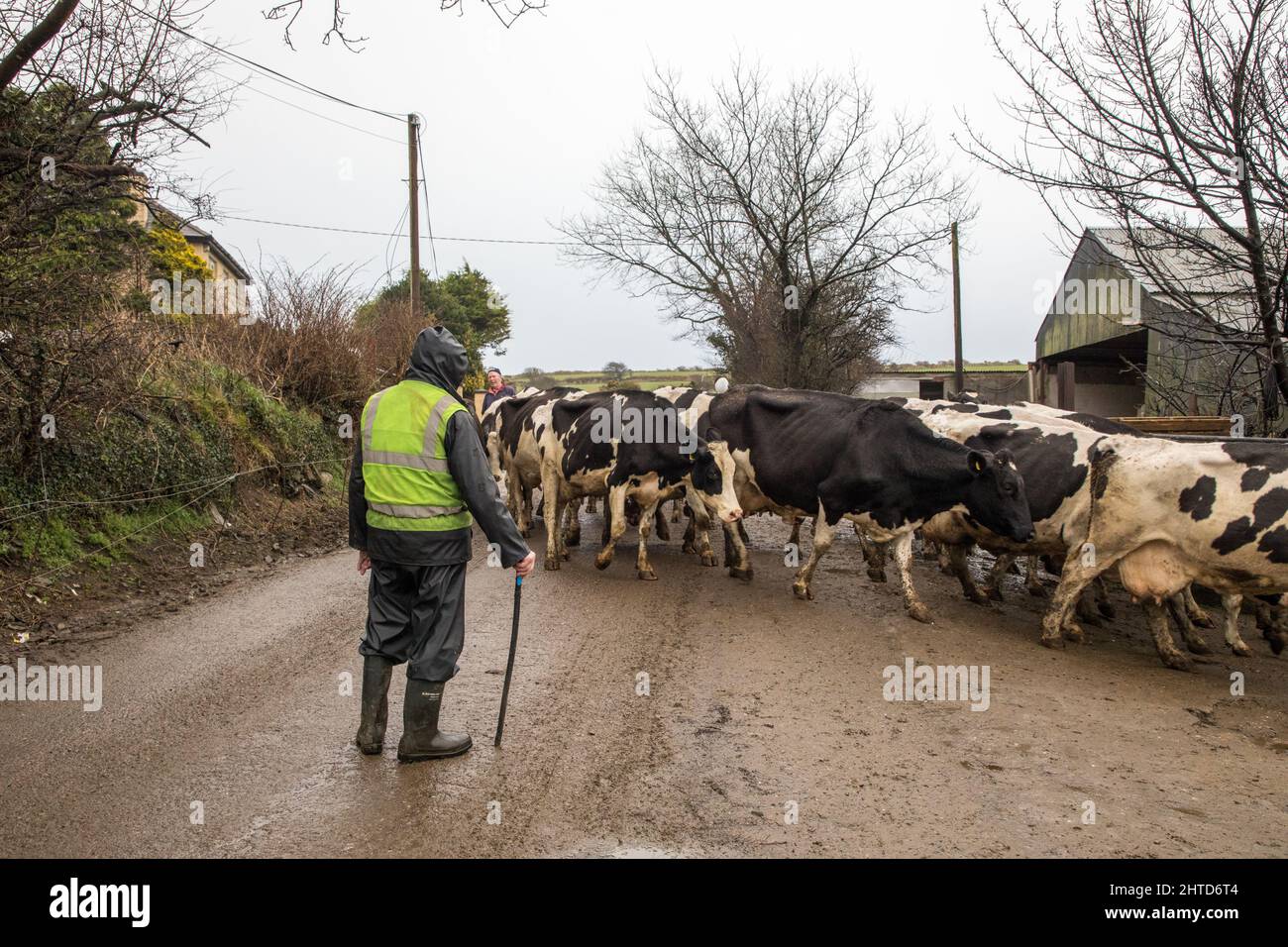 Ballinspittle creedon hi-res stock photography and images - Alamy