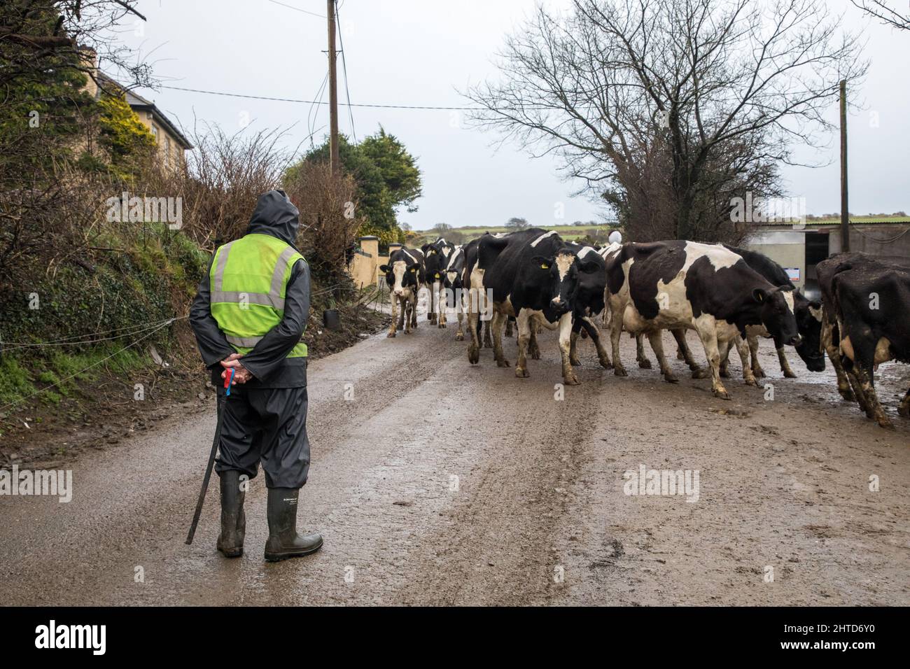 Ballinspittle creedon hi-res stock photography and images - Alamy
