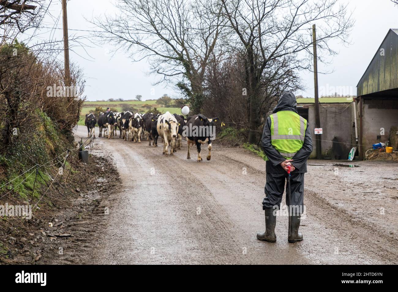 Ballinspittle creedon hi-res stock photography and images - Alamy