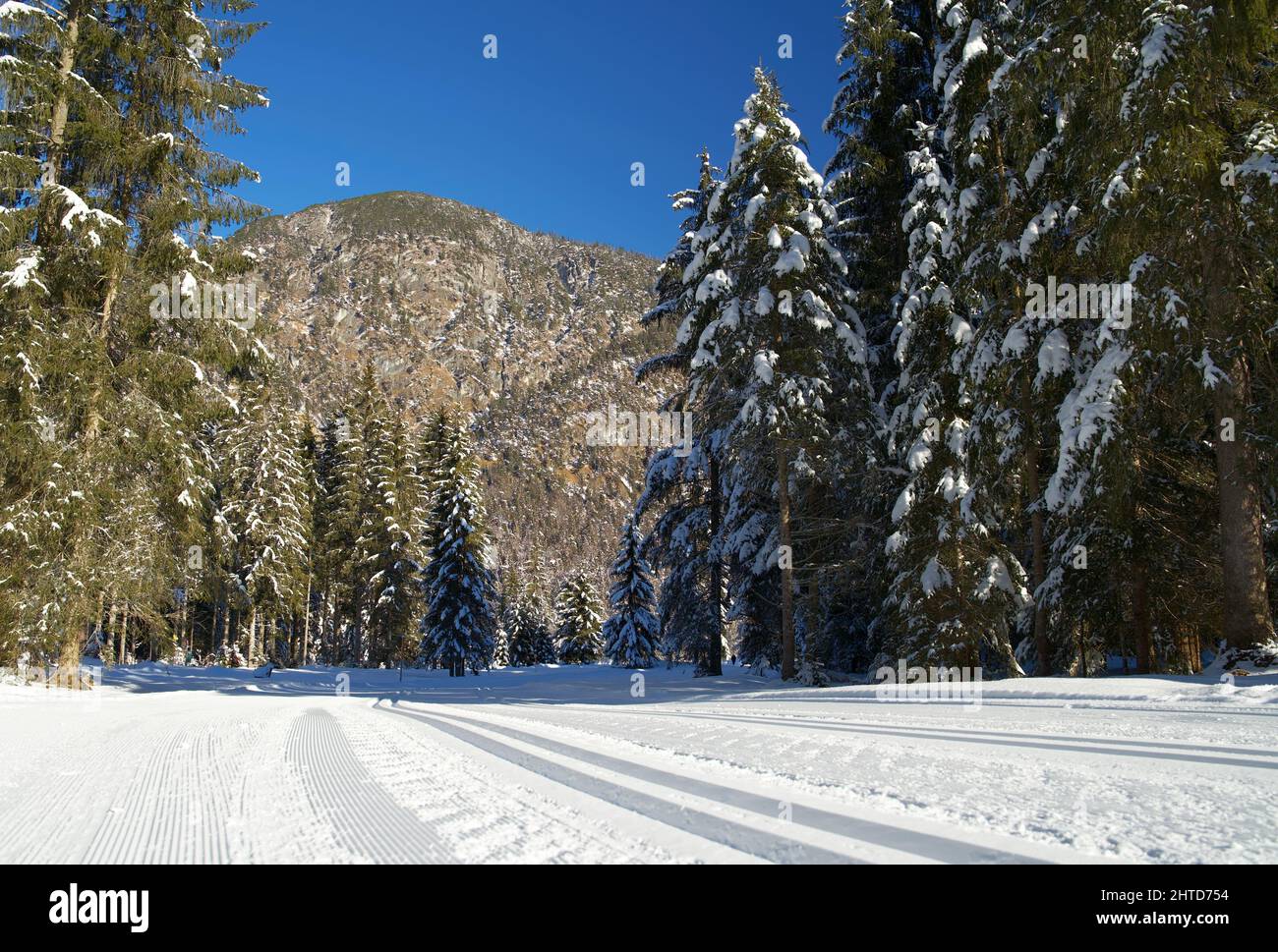 Sunny country track hi-res stock photography and images - Alamy