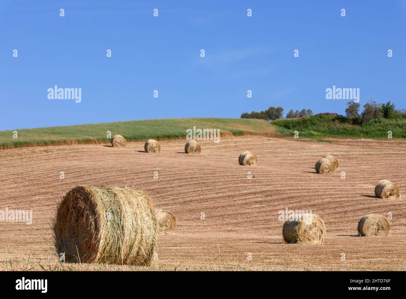 Bales of hay waiting to be transported from Tuscan hills to the farm ...