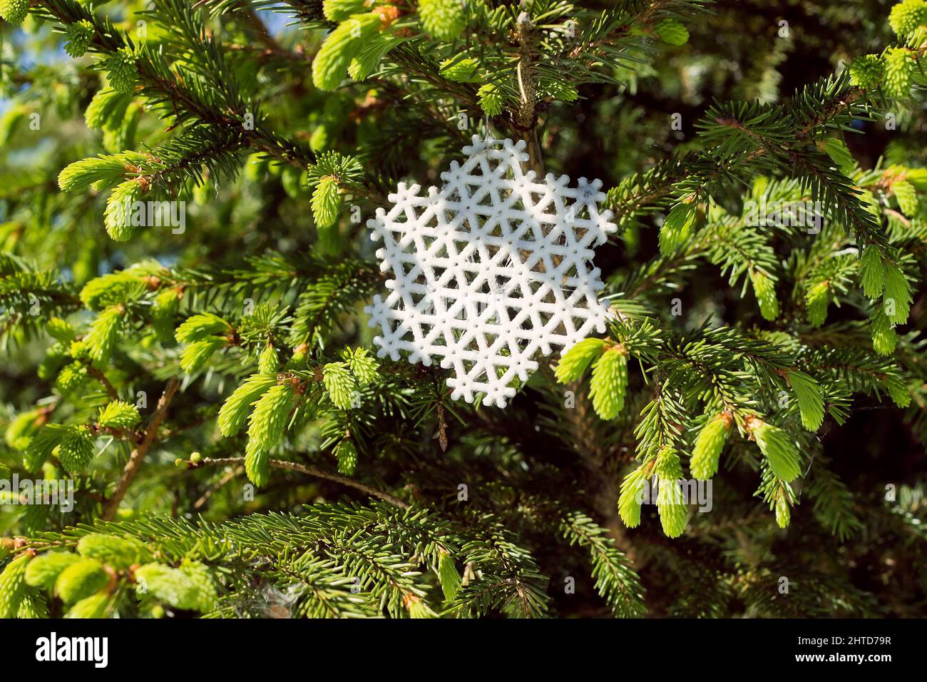 Printed snowflake hi-res stock photography and images - Alamy