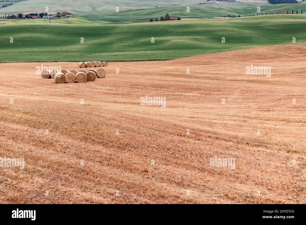 Tuscan multi panorama with haystacks in rolls in the meadows and a ...