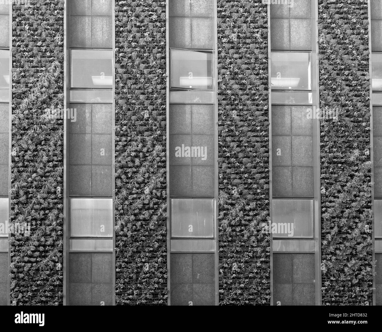 Newcastle city centre street Black and White Stock Photos & Images - Alamy
