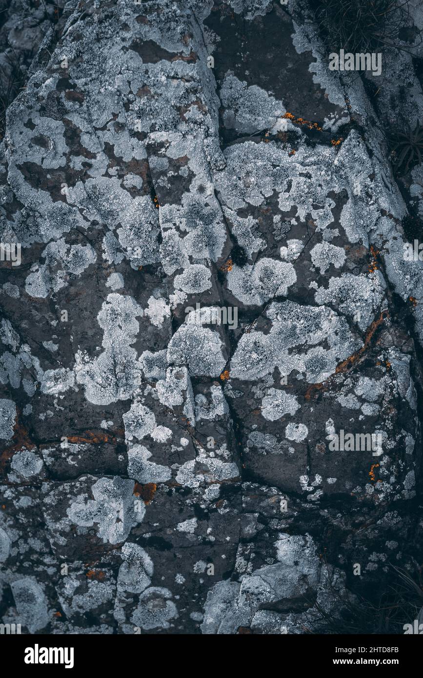 Texture of a huge stone with lichen Stock Photo - Alamy