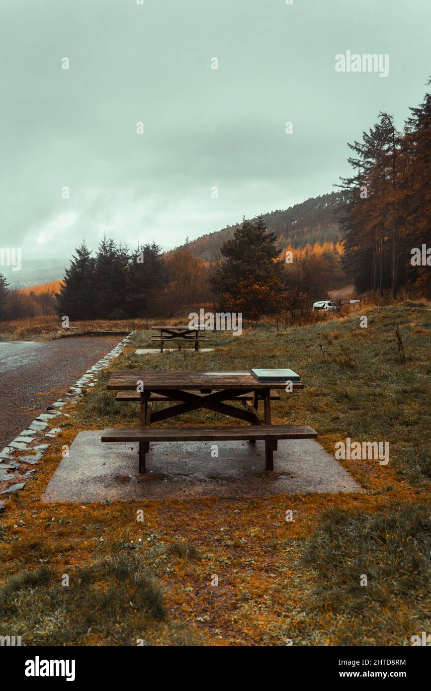 Beautiful portrait of wooden tables and benches on the side of a road ...