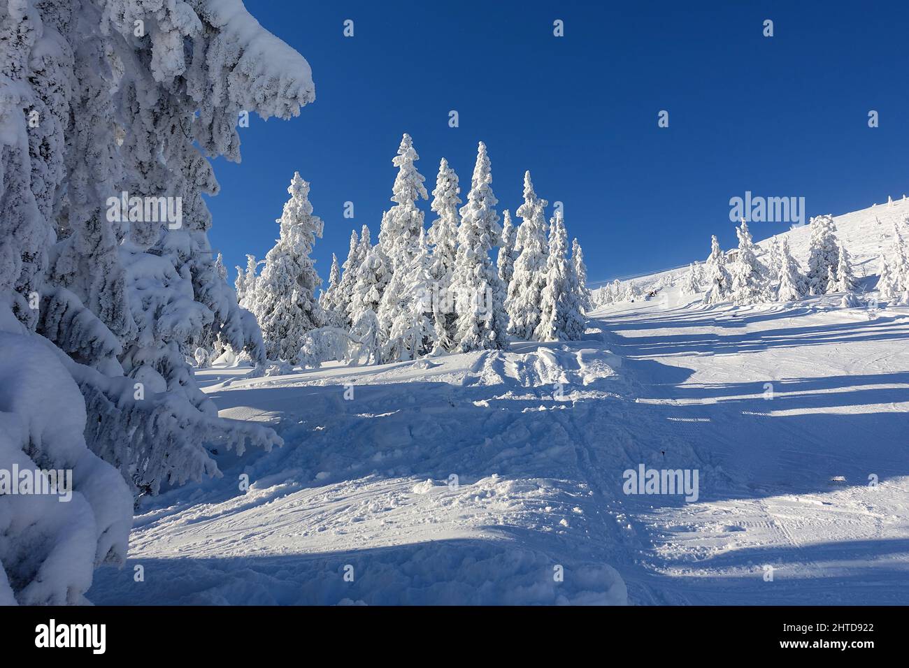 Winter in an arctic and frozen norway Stock Photo - Alamy