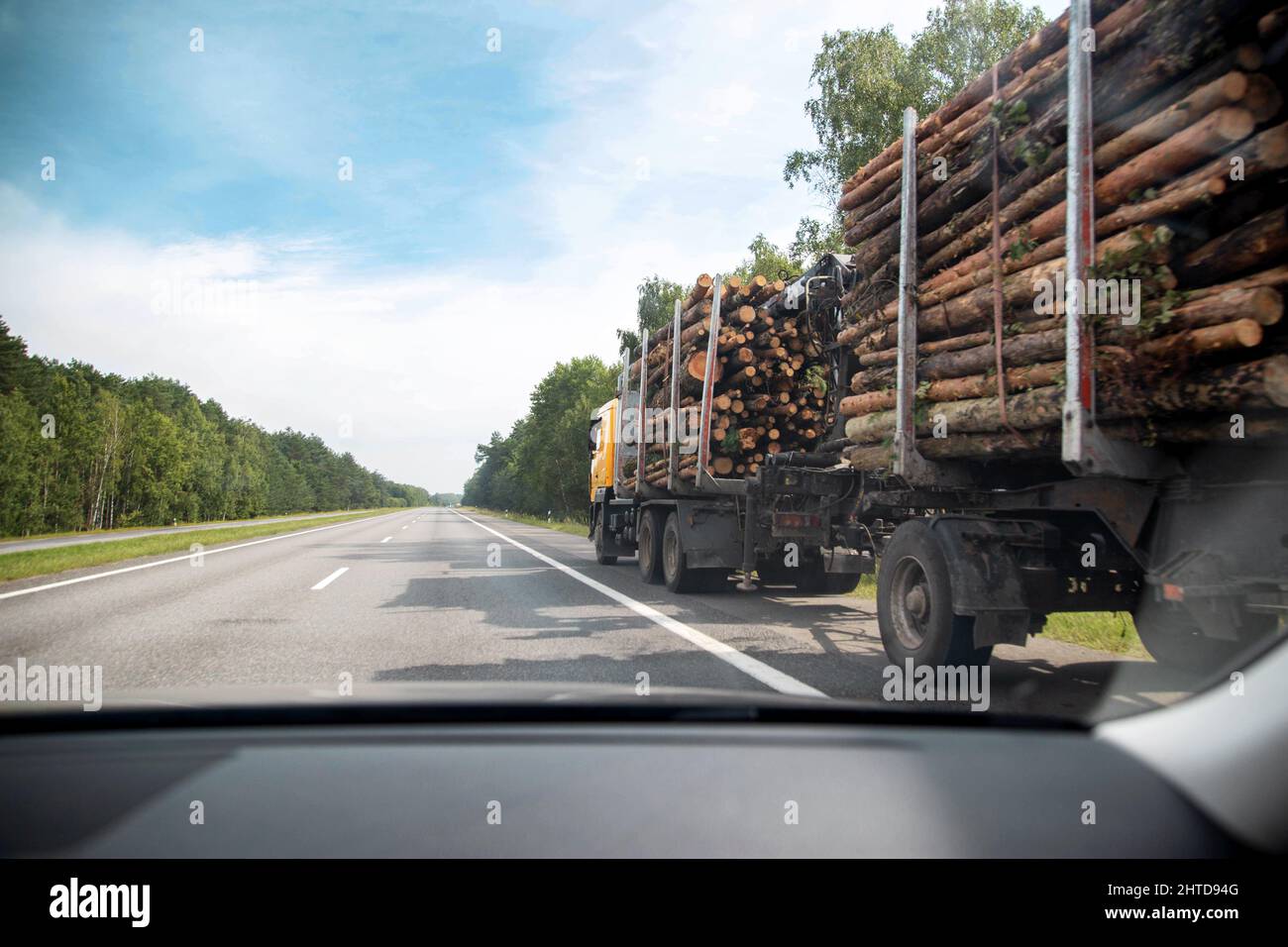 Transportation of forest logs on a truck trailer in summer on an ...