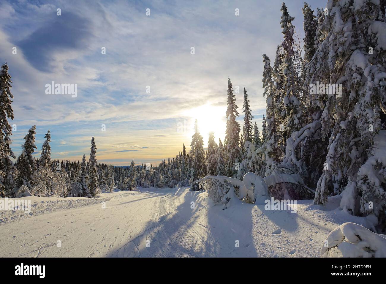 Typical nordic winter landscape hi-res stock photography and images - Alamy