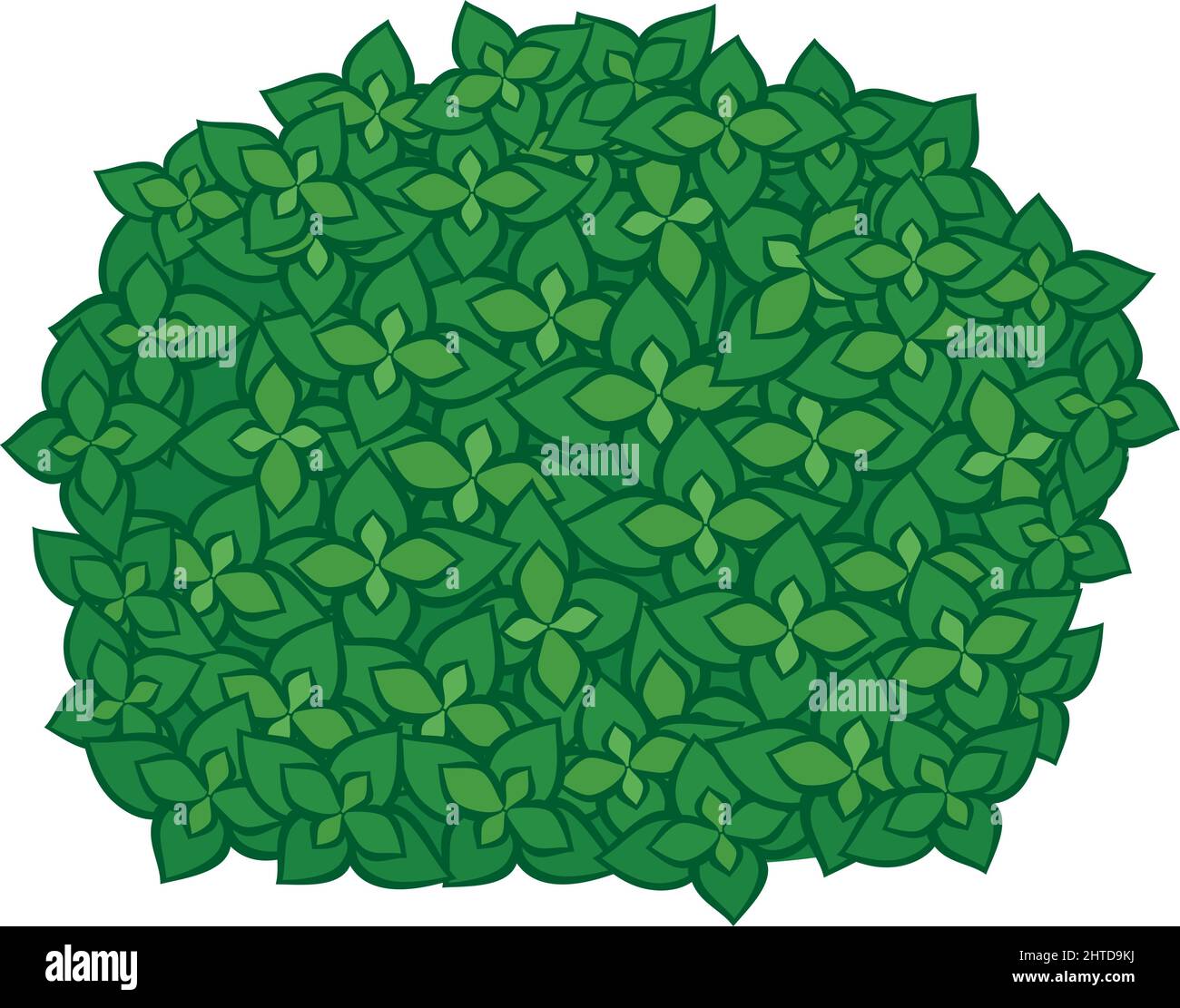 Green bush vector illustration Stock Vector Image & Art - Alamy