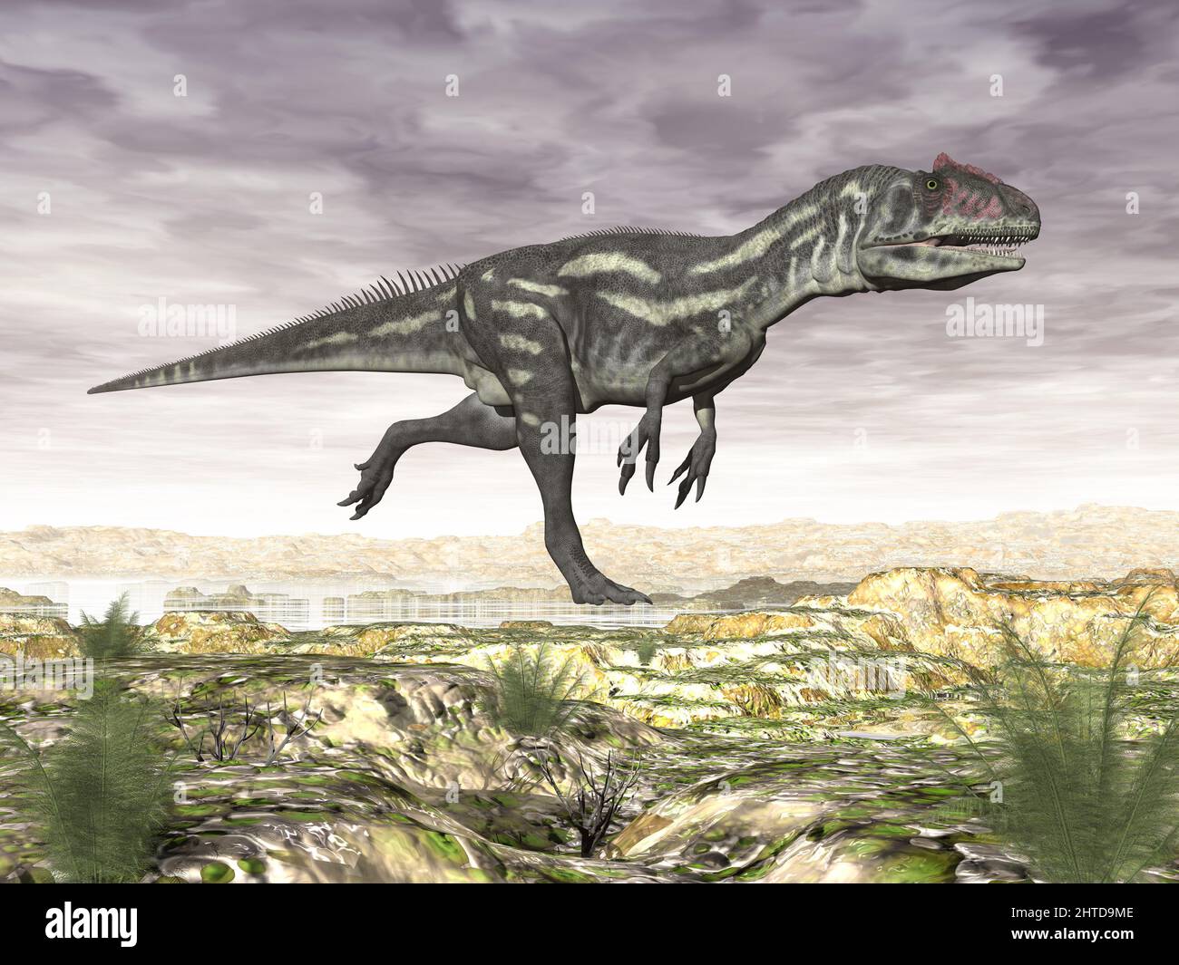 Allosaurus dinosaur in the desert - 3D render Stock Photo - Alamy