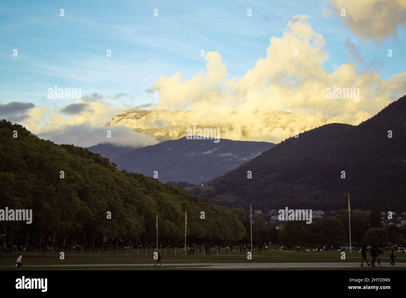 Tête de champ hi-res stock photography and images - Alamy