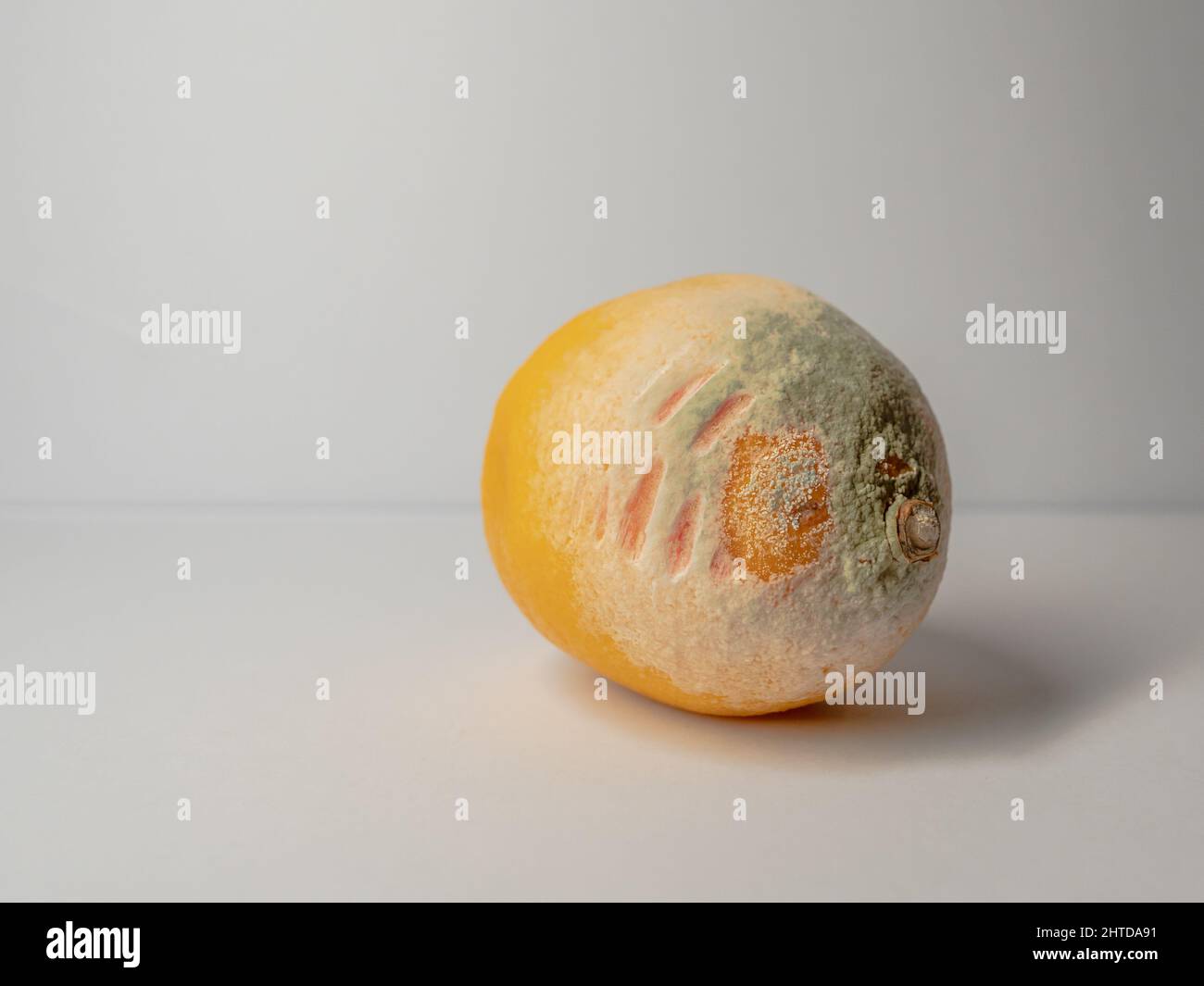 mold on a lemon on a white background Stock Photo - Alamy
