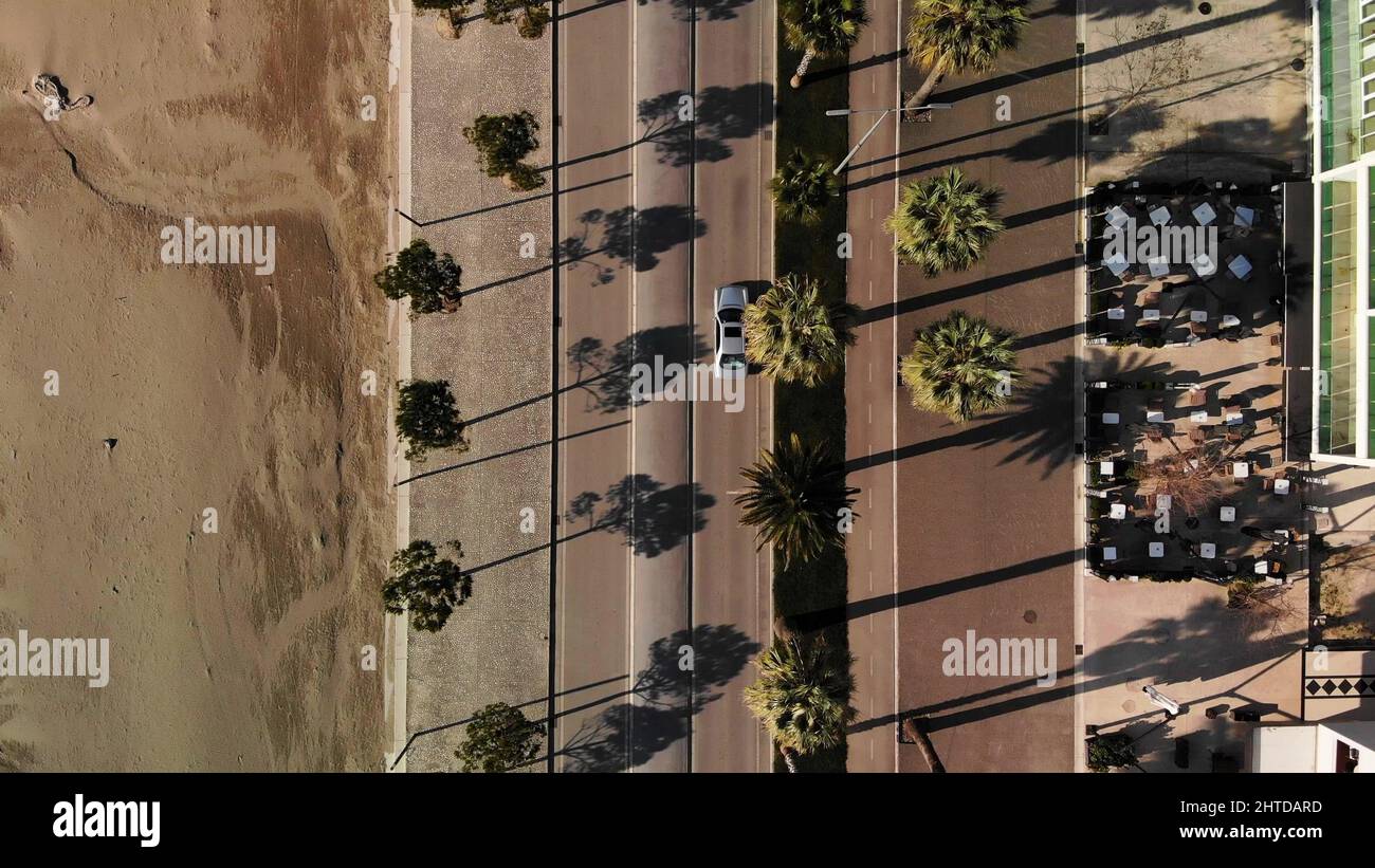 Top down view of road and palm tree Stock Photo - Alamy